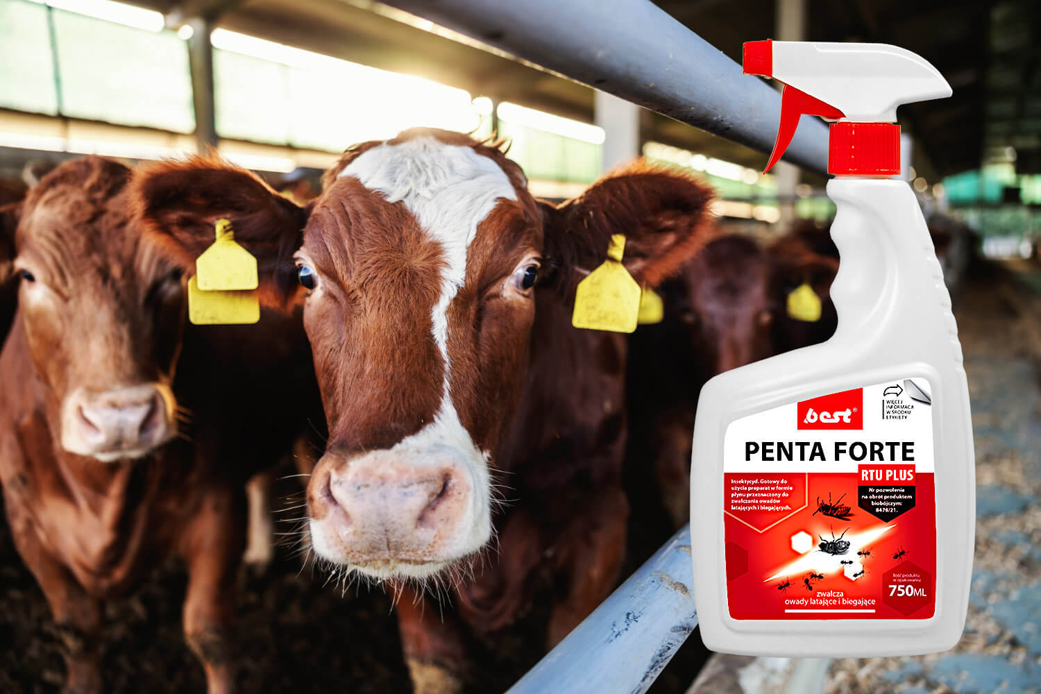 PENTA FORTE RTU PLUS 750 мл – спрей за насекоми (мухи, комари, мравки) - kontiki.bg